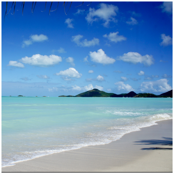 Slysoft Owner Found Criminally Guilty For Making Blu-ray Ripper | News ...