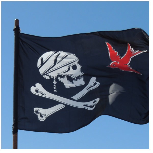 Pirate Party Fights Norweigian Pirate Bay Blockade with Uncensored DNS ...